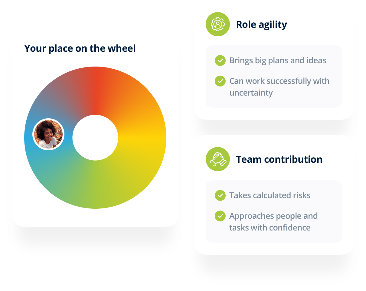Psychometric Colour Testing for Teams and Individuals | C-me