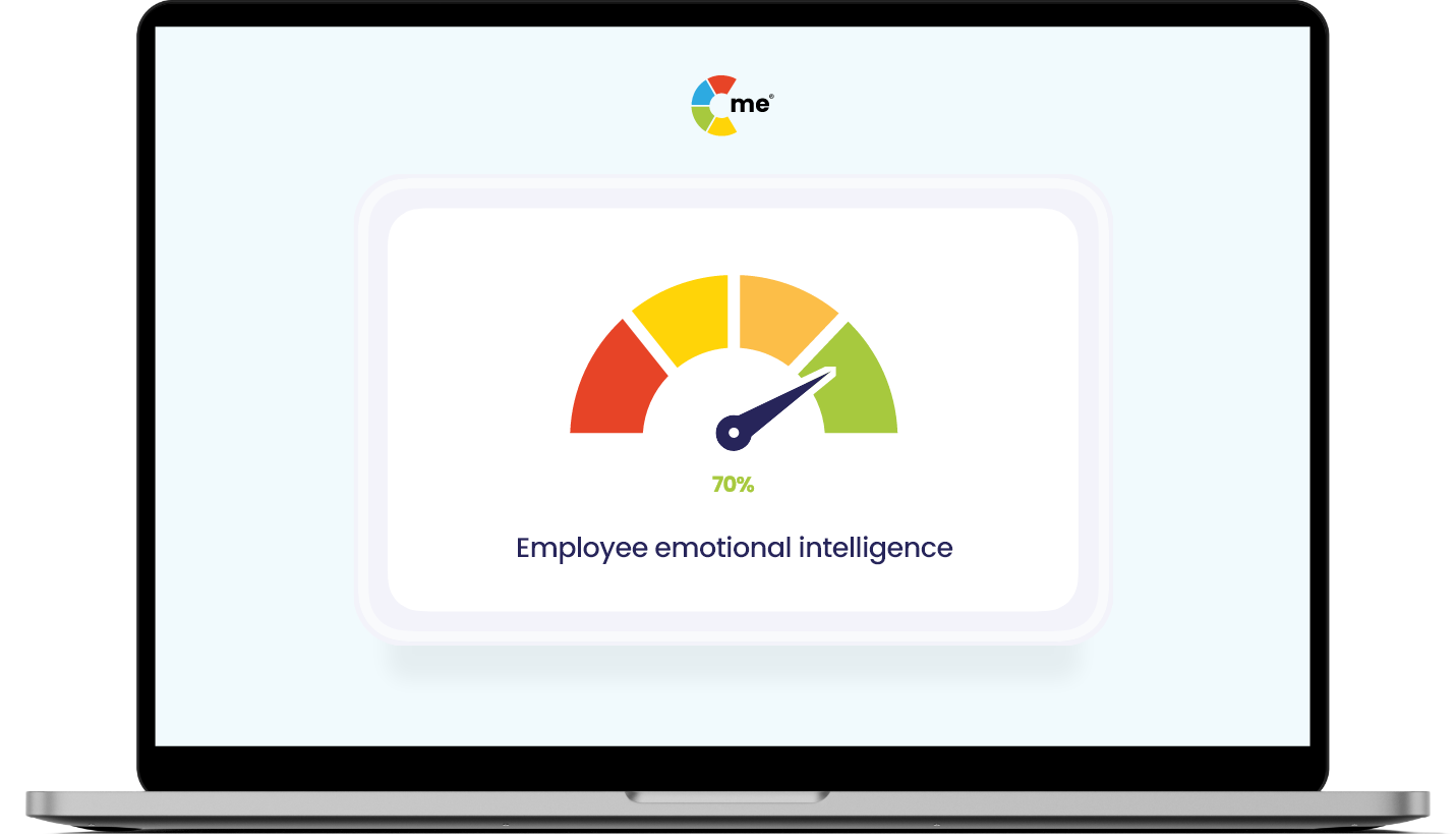 Psychometric Colour Testing for Teams and Individuals | C-me